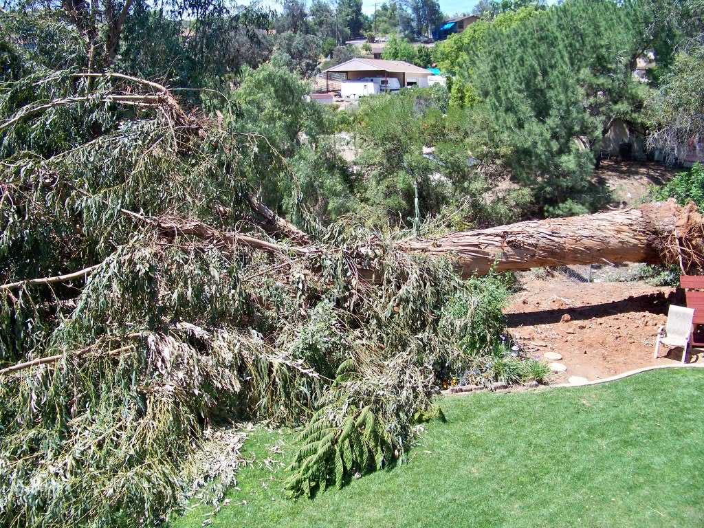 Wayne Rice | Ministry, Parenting, Theology, Bluegrass Music | Page 5