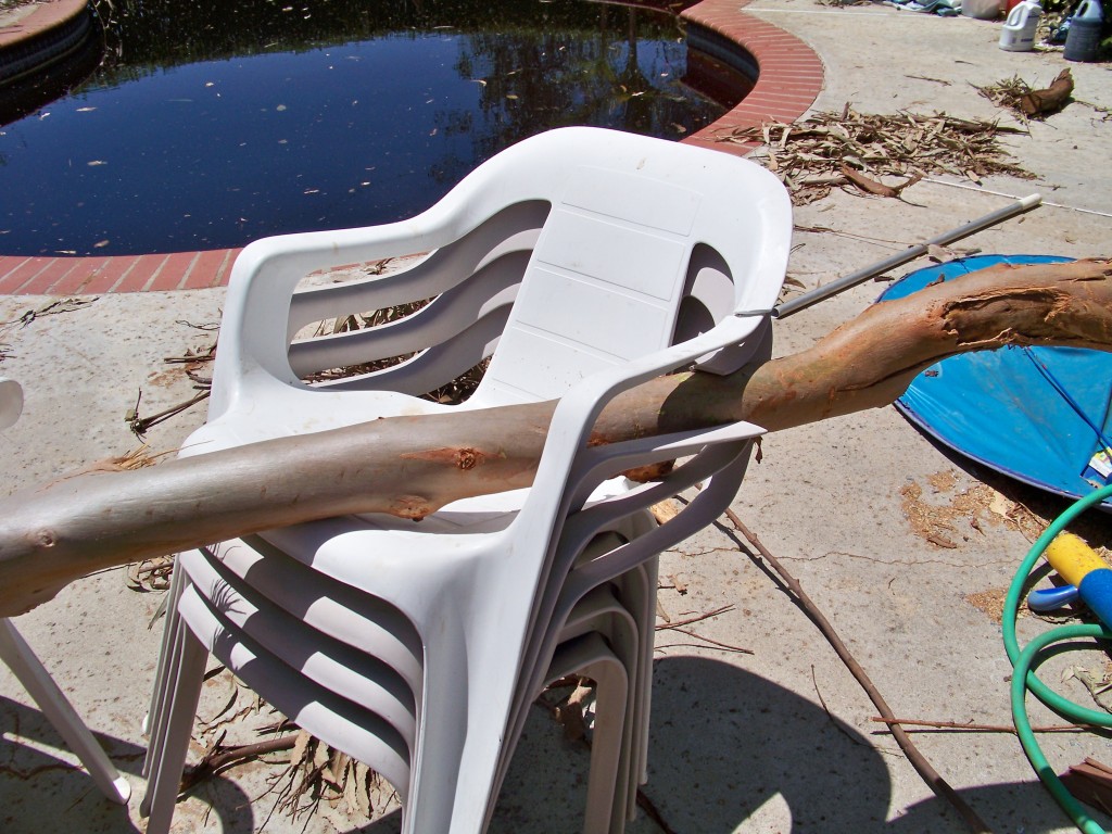 Wayne Rice | Ministry, Parenting, Theology, Bluegrass Music | Page 5